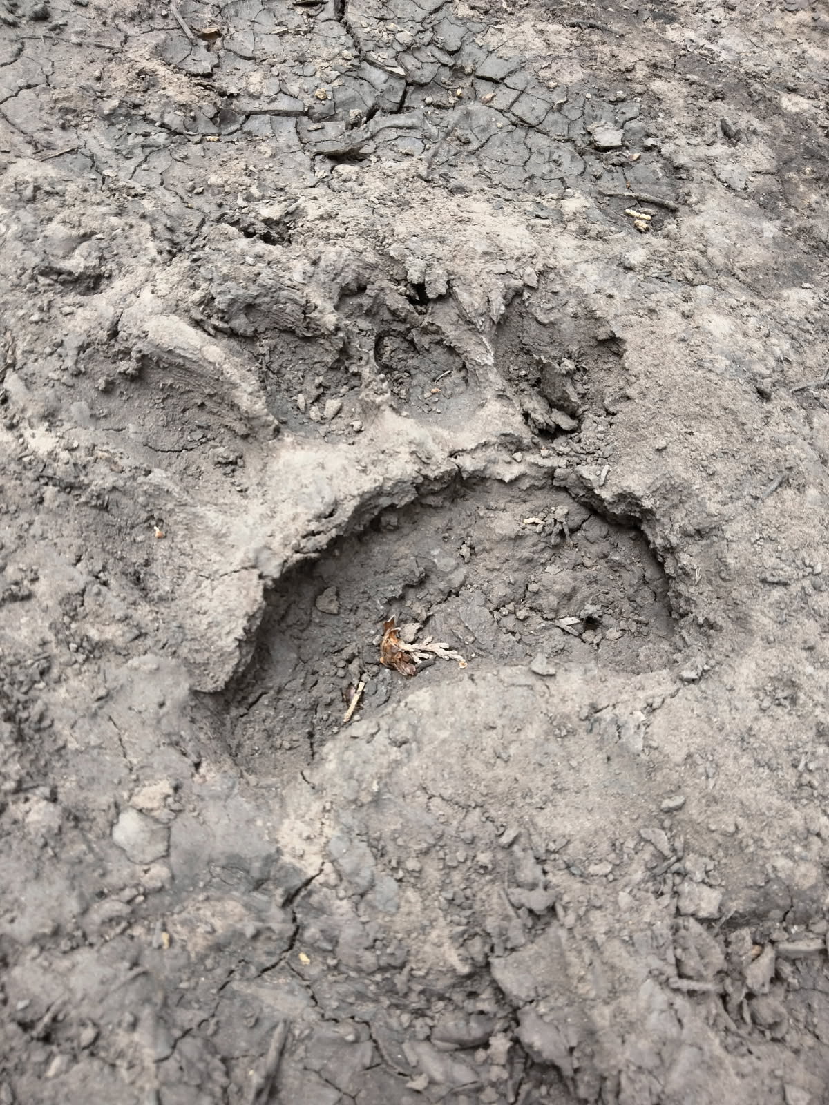 august 2025 – Kate Mann